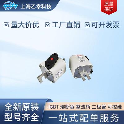 巴斯曼熔断器 170M6362 170M6363 170M6364 170M6365 170M6366
