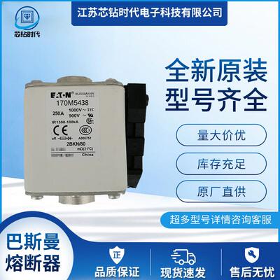 170M5438170M5439170M5440巴斯曼BUSSMANN熔断器保险丝