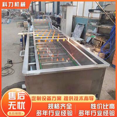 HSW大型果气泡卜清洗机 萝茄子气红泡清蔬洗机 土豆薯洗泥机
