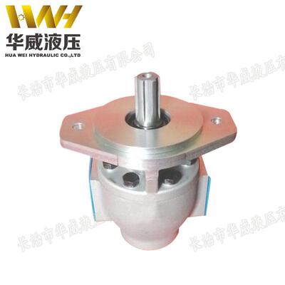 齿轮泵 8J5846 D48950 1U2104 D53690 1198748 MG86528339