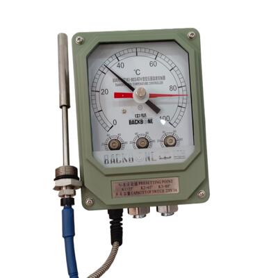 BWY（WTYK）-803A变压器温度控制器温度指示器温控器