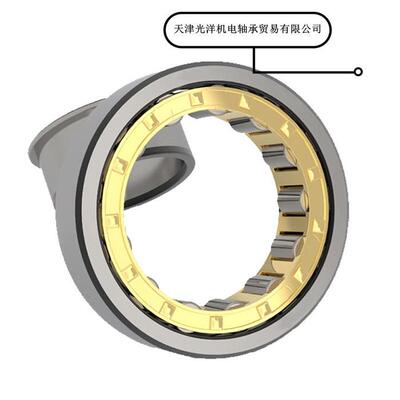 FAG轴承NJ203 NJ204 NJ205 NJ206 NJ207 NJ208 NJ209 NJ210 NJ212