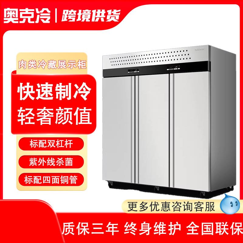 大型挂肉柜商用牛羊肉类冷藏展示柜排酸柜保鲜立式冷冻冰柜不锈钢