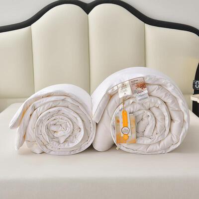 大豆纤维子母被保二四季款通用合一拉链春秋被冬季学生HYX65491加