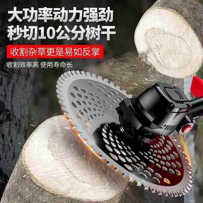 德国能电动割草机锄草机大功率无刷锂电充LYX式电草家用除机多功