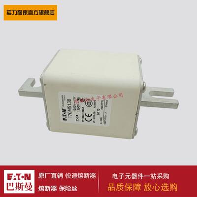 熔断器170M4147 170M5138 170M5139 170M5140 170M5141 170M5142