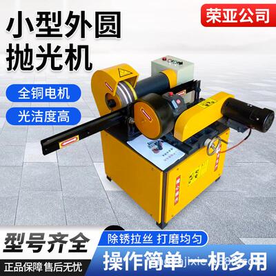 全自动小型外圆抛光机定双工位多工位大型圆管金属平面抛光机