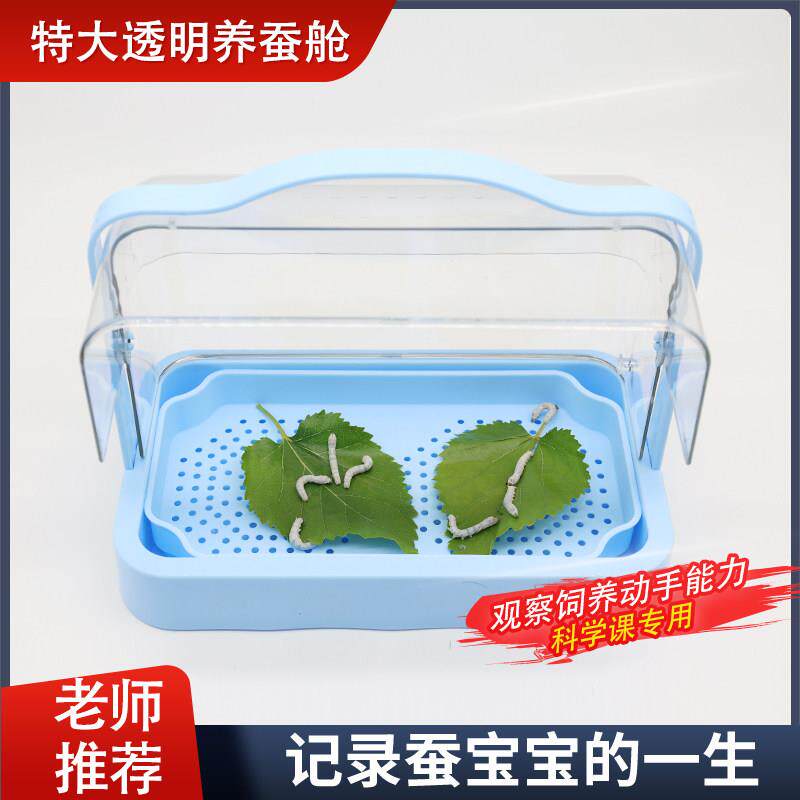 蚕宝宝学生养蚕套装太空全景培育舱豪华饲养盒活蚕卵观察工具桑叶