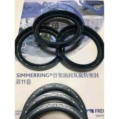 德国2CFW100*125**1/170*200*15/200*23*15/80*100*10/140170*100