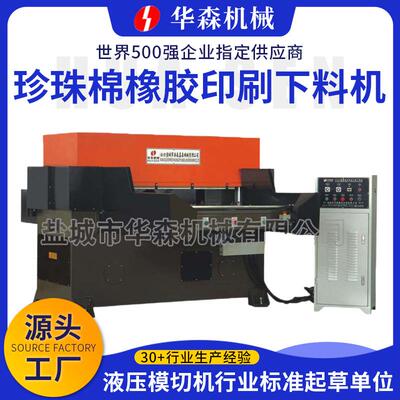 华森机械供应珍珠棉橡胶印刷下料机自动滑台式精密四柱裁断机