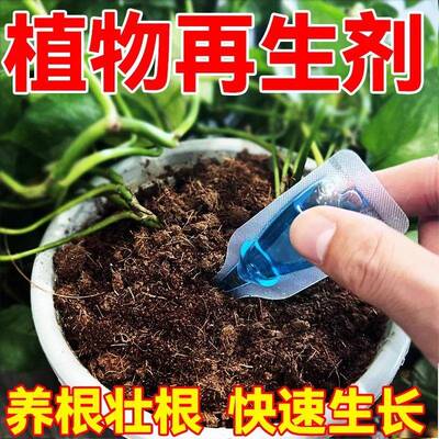 Plant Revival Solution - Universal Nutrient Liquid for Flowe