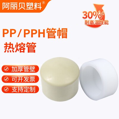 PP/PPH管帽闷头堵帽热熔承插对焊管堵堵头堵盖化工管件配件耐高温
