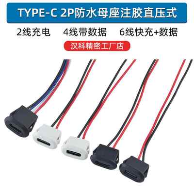 typec母座带线2P 4 6P注胶直压椭圆充电口usb连接器焊线防水TYPEC