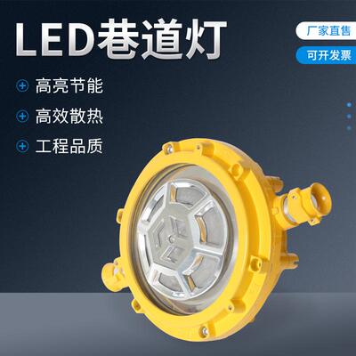 DGS40/127LED巷道灯矿用井下煤矿泛光灯防爆隔爆工业壳体套件