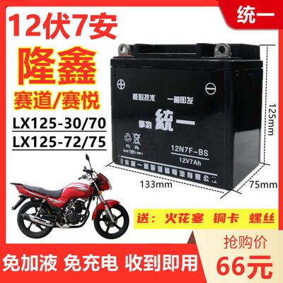 隆鑫赛道LX125/150-30男士摩托车擎豹统一免维护电池12V7A干电瓶