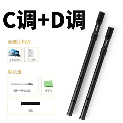 高档学DAO 爱尔兰哨笛C、学D大调BABS树脂哨笛六孔直笛初学者生教