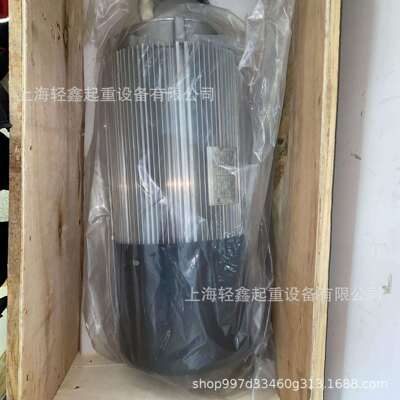 科尼起升电机 MF10Z-106N161P85025E-IP55 52262304 3.6KW