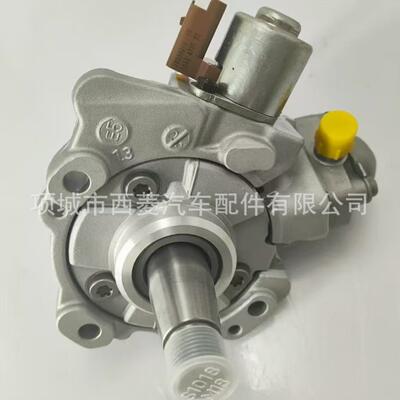 1111100XED61长城炮高压油泵42011282 28557521 适用德尔福 风骏7