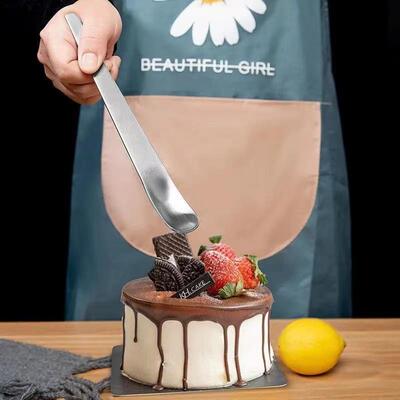 304 Stainless Steel Dessert Spoon for Eating Cake, Aesthetic