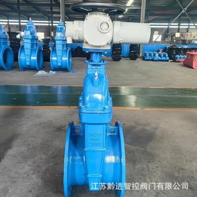 Z945X-16Q DN65电动闸阀 暗杆闸阀 软密封 法兰连接 就地远程控制