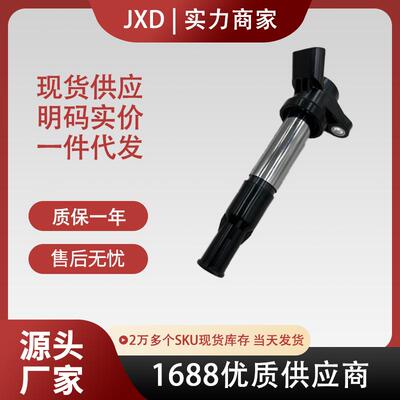 .跨境点火线圈19005277 25181813 96414260 28063913 1016050462