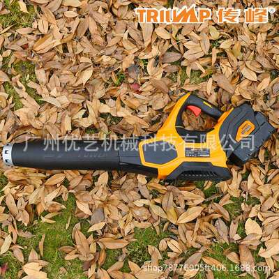 传峰P62V手提大功率吹树机电式工业吹风除尘TPBL6205机TBL充6205