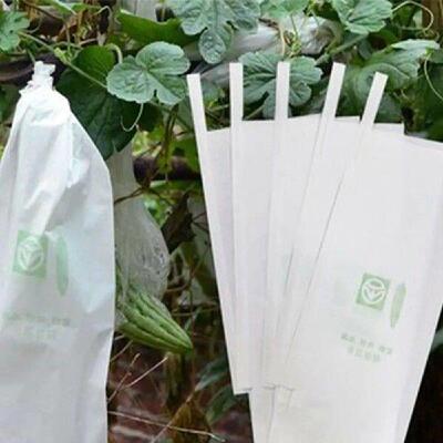 100pcs Breathable Balsam Pear Protection Bags Generic