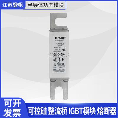 170M1320 170M4410 170M5388 170M5447 170M5448巴斯曼熔断器