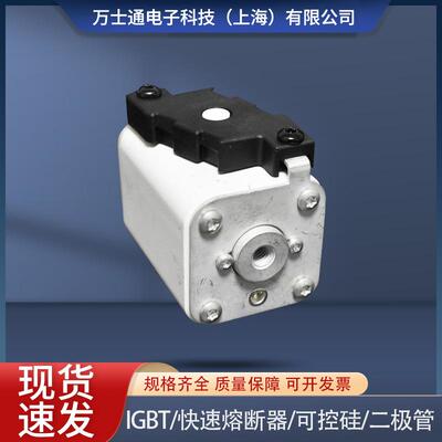 熔断器170M4951/4952/4953/4954/4955/4956/4957/4958/4959/4960