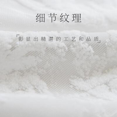 新款窗帘感纱布阳纱窗帘高级浮雕MUB透光不透人帘卧室客厅台窗纱