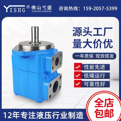 注塑机液压叶片油泵25V-10 12 14 15 17 19 21 25A-1A B C D-22R