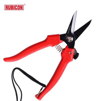 罗宾汉RUBICON多用途专业园艺剪树枝剪园林花枝剪摘果剪RPS-717