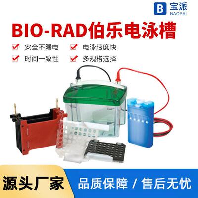 宝派一级美国伯乐BIO-RAD小型垂直电泳槽电泳仪转印槽现货