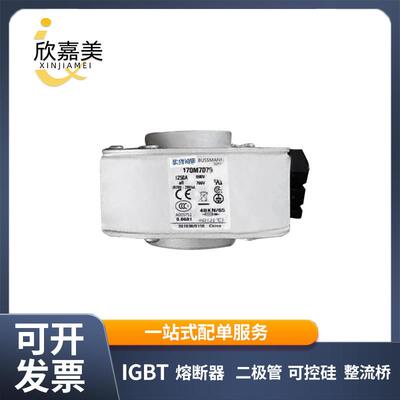170M7079 170M7083 快速熔断器 保险丝 电子元器件 量大价优