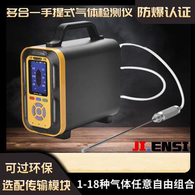 基恩思PTM600-CO2手提式二氧化碳浓度检测仪泵吸式CO2气体测试仪