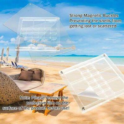 Transparent Magnetic Seashell Display Box Mini