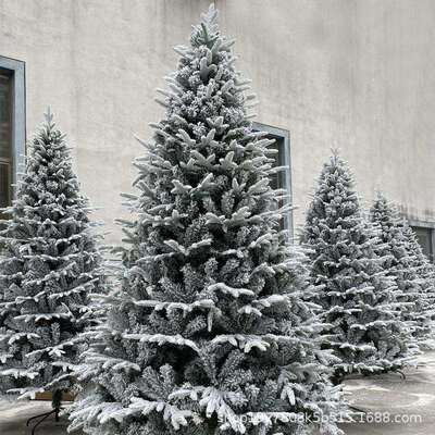 圣诞节白色雪花植绒圣诞树1.5米1.8米2.1米3米仿真雪松雪景装饰