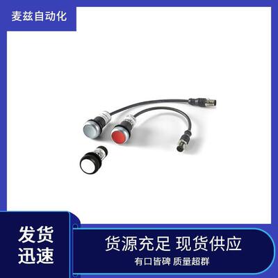 Cutler Hammer 行程开关 EATON 断路器 C22-D-G-K10-P65 空气开关
