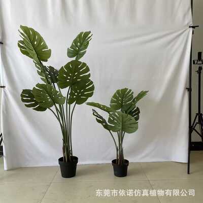 假植绿室内植龟背植批发龟背竹装饰造景造景盆栽绿仿真物仿真装饰