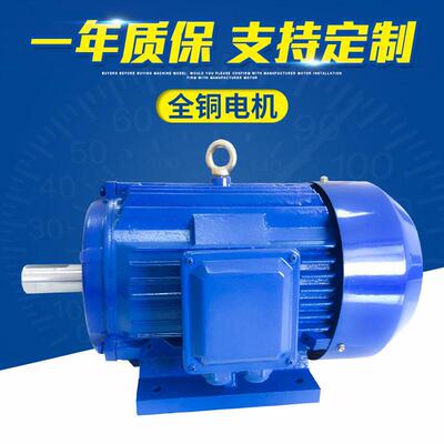 三相异步电动机YE4100L2-4-3W设备机械马达工业立式电机效
