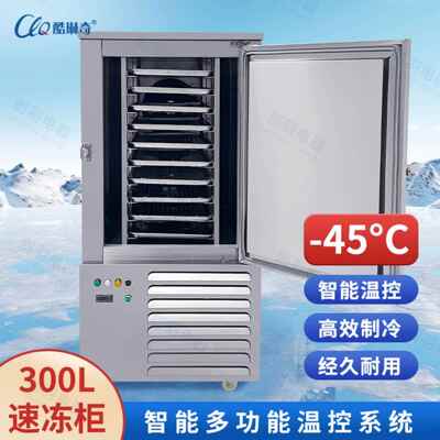 y烟台大型981烧饼速柜冻柜武大郎肉末饼急速低温冷冻极速 冰冻速