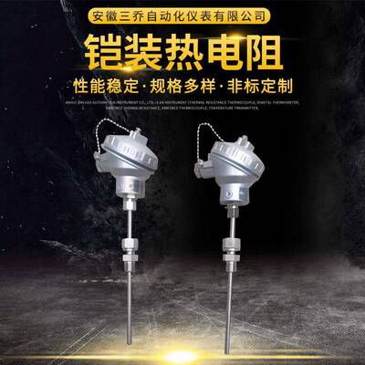 铠装热电阻WZP-236 PT100 活动螺纹安装 温度传感器 厂家供应
