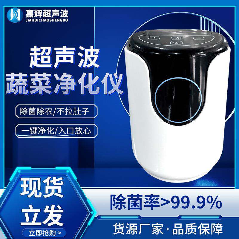 超声波洗菜机水果蔬菜农残清洗机家用迷你超声波蔬菜净化仪