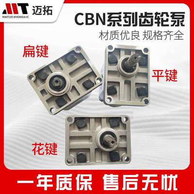 齿轮泵CBN-E310 CBN-E306 CBN-E316 E320 E325 E314 E308 F310
