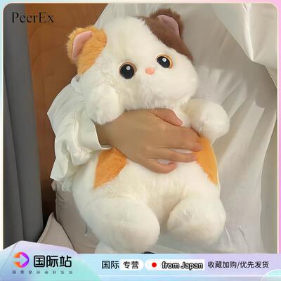 日本PeerEx可爱胖墩暹罗猫毛绒玩偶公仔抱枕女生陪睡娃娃送礼物
