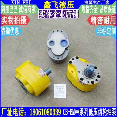 CB-BM40 BM50 BM63 BM80 BM100-3 BM125稀油站循环泵齿轮泵油泵