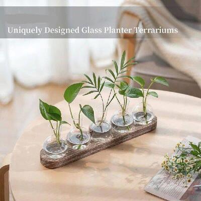 Propagation Station Glass Vases Decoration: 5 Plants