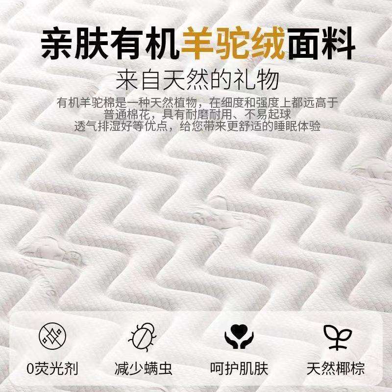 榻米床床垫乳胶椰棕榻塌塌154米垫子软垫家用卧室专用垫工厂一件