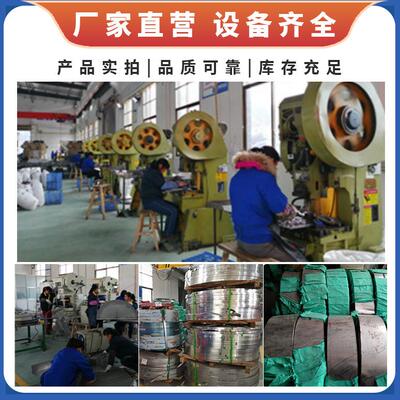 不锈钢扁环金散堆填金料3064扁环洗涤塔冷却塔31属L属扁环填料