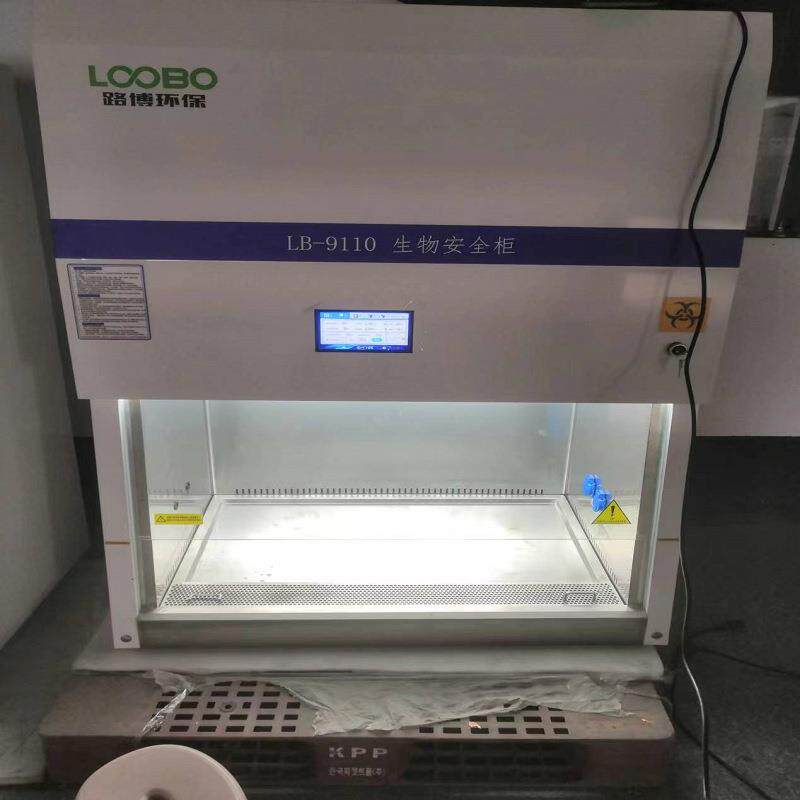 生物安全柜AA实验室用无尘超净工作台设备
